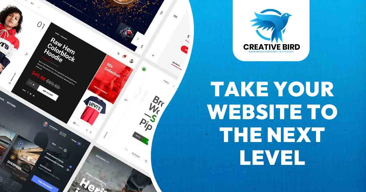 Web Design - Creative Bird
